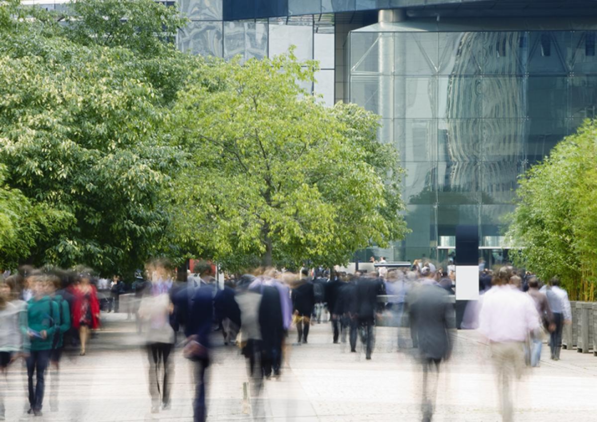 Royal Commission into the Robodebt Scheme